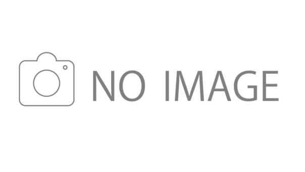 BHOGDOI MICRO SERVICE FOUNDATION | Index